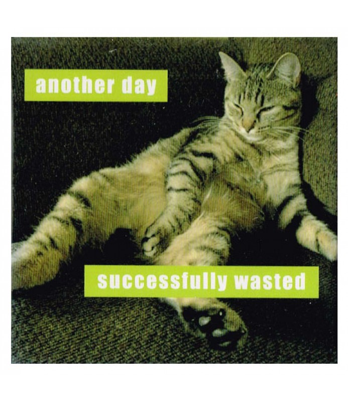 I Can Has Cheezburger 'Another Day Successfully Wasted' Large Magnet ...