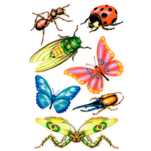 Bugs Insects Rub On Transfers / Favors (1 sheet)