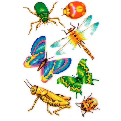 Bugs Insects Rub On Transfers / Favors (1 sheet)